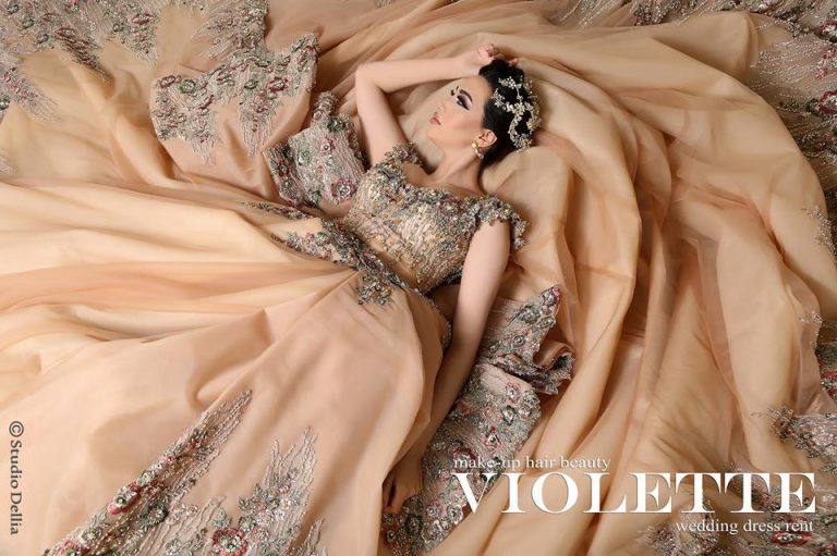 La Nouvelle Collection Robes de Mariées 2018 par VIOLETTE